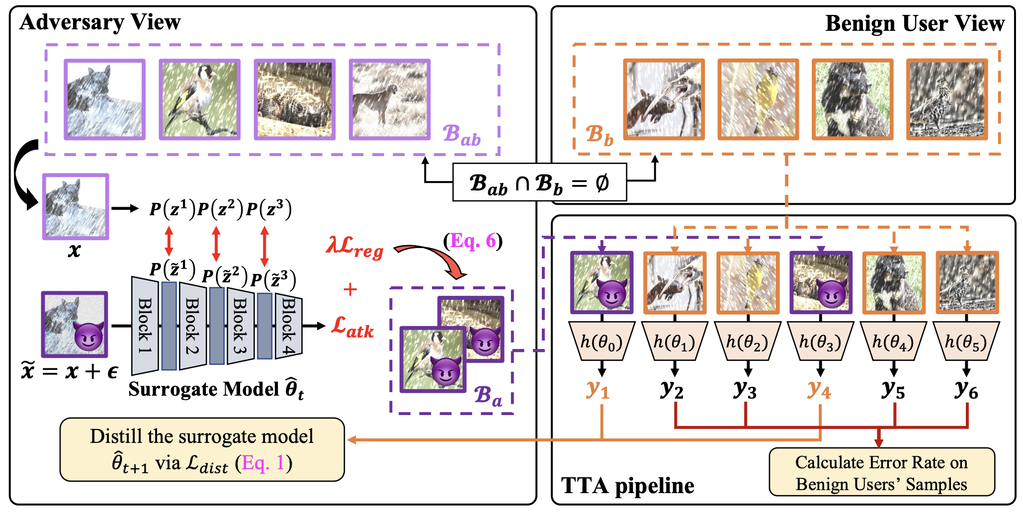 Yongyi Su, PhD Student